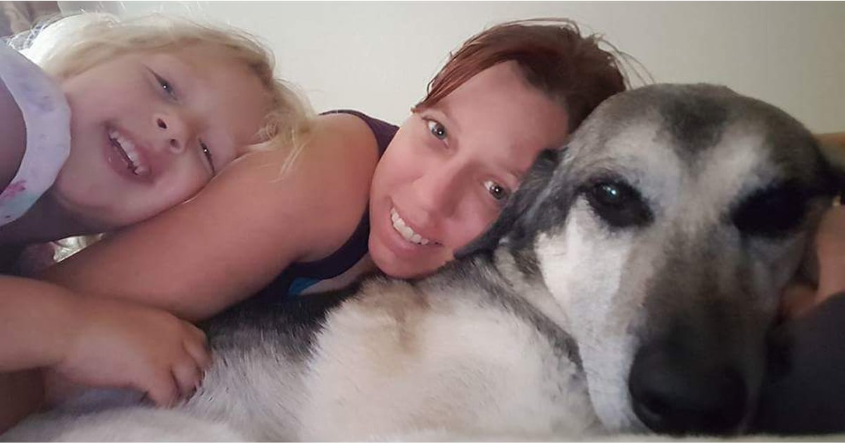 Dog Helps Owner Beat Drug Addiction | POPSUGAR Pets