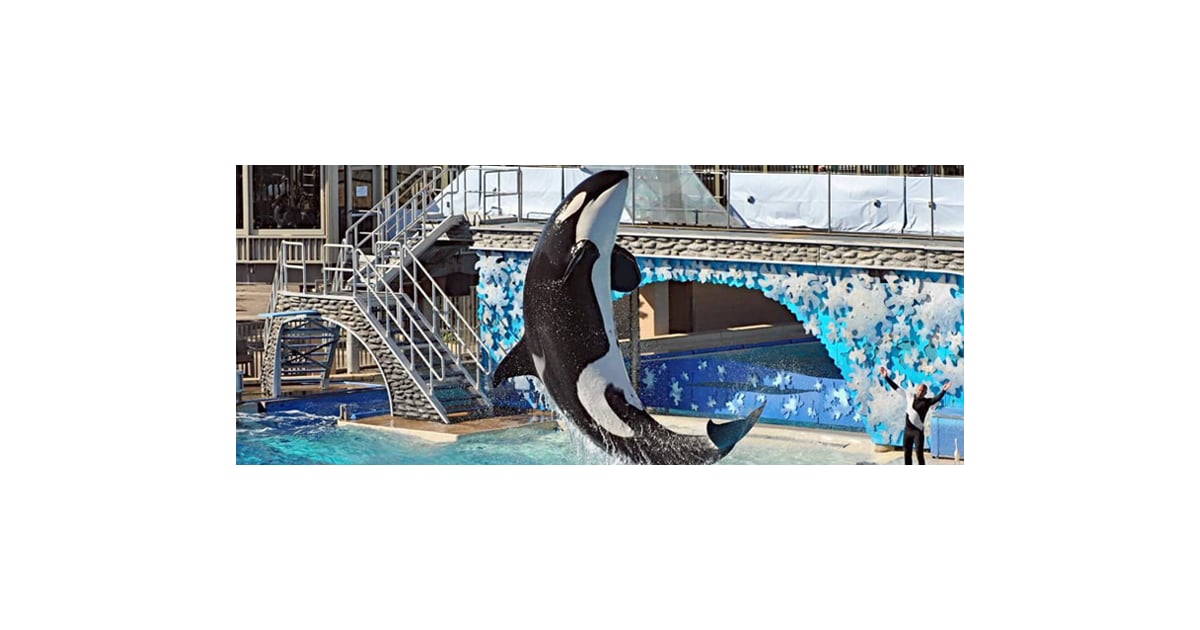 California SeaWorld Ban | POPSUGAR Celebrity