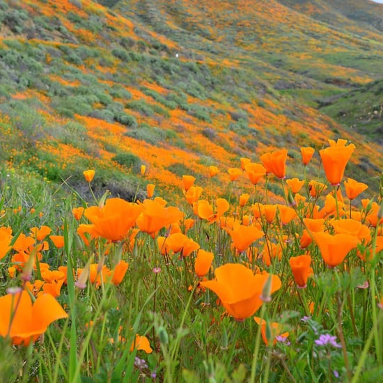 DIY Map Frame | POPSUGAR Smart Living