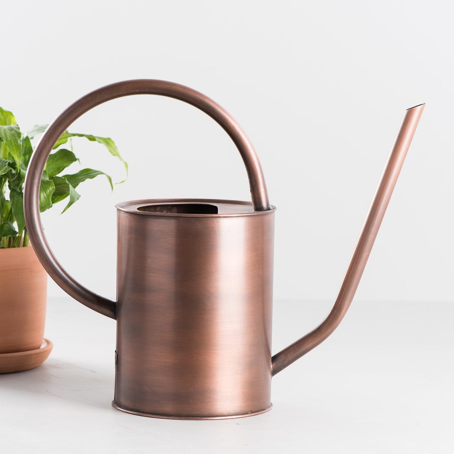 Magnolia Home Spring Collection | PS Home
