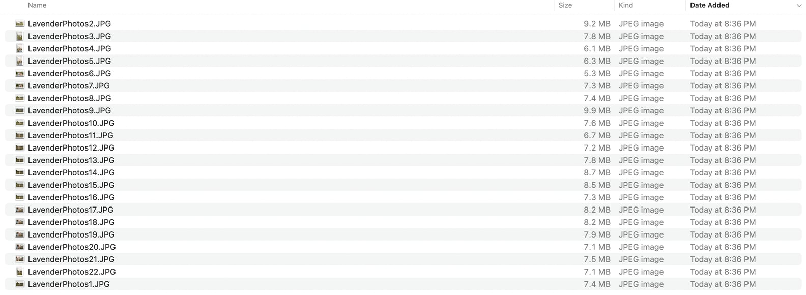 How to Rename Multiple Files at Once on a Mac | POPSUGAR Tech