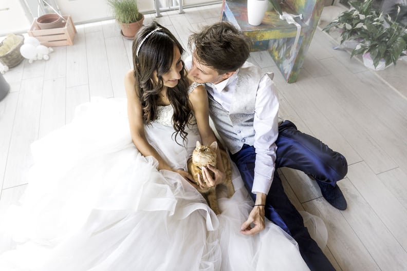 Wedding Photos With Cats | PS Love