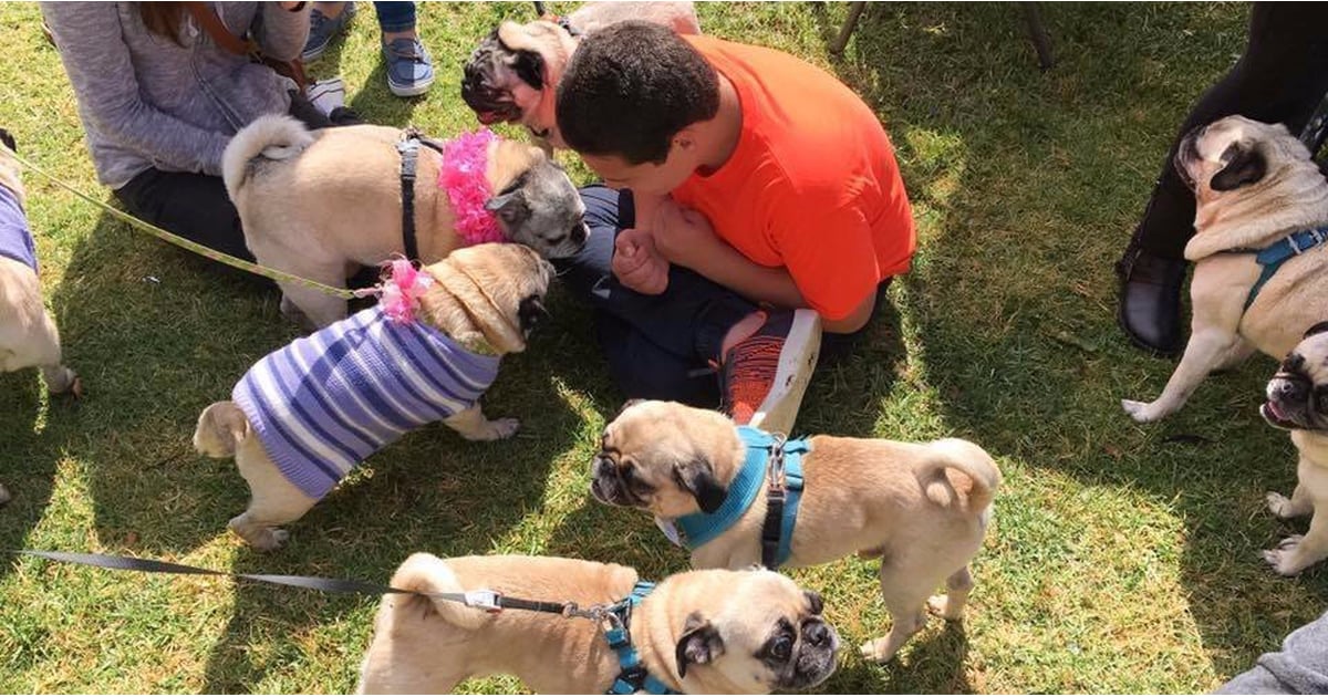 Sister Planned Pug Birthday Party For Boy With Autism | POPSUGAR Family