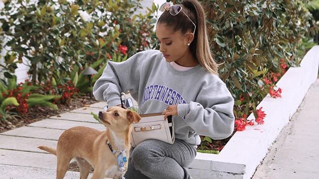 Celebrities and Their Pets | POPSUGAR Pets