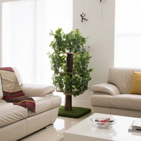 Christmas Trees For Cat Owners | POPSUGAR Pets