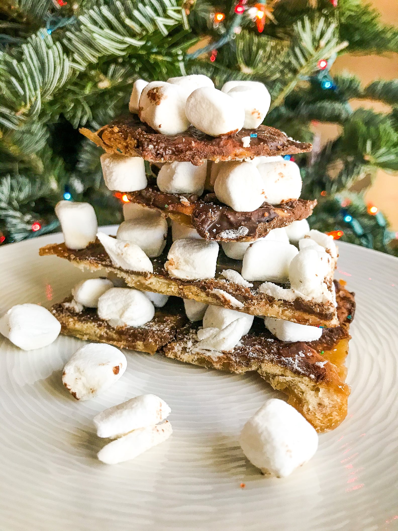 Christmas Cracker Bark Recipe + Photos | PS Food