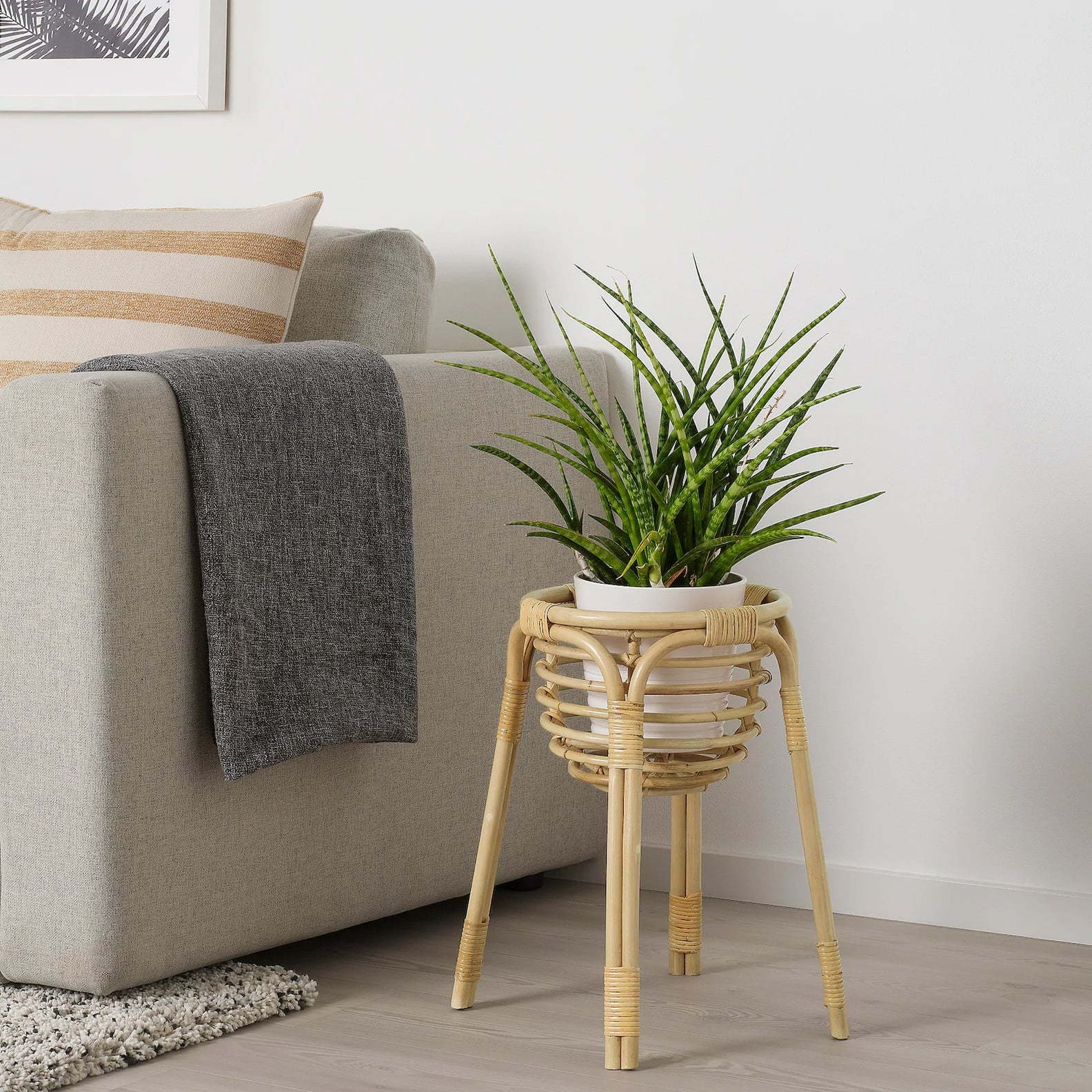 Rattan Plant Stands | PS Home