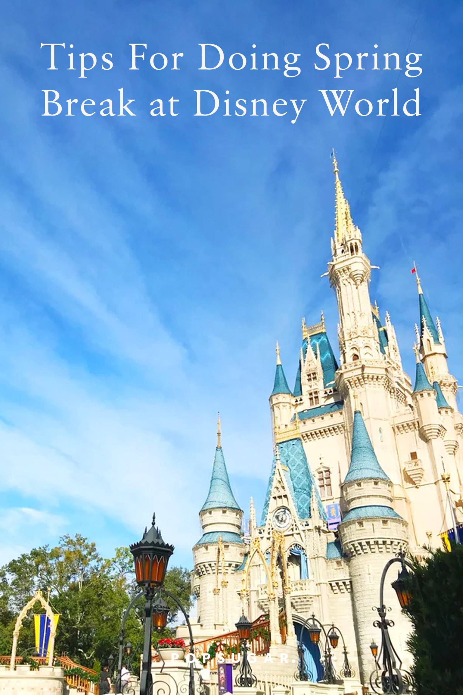 12 Crucial Tips For Doing Spring Break at Disney World | PS Smart Living