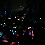 Pandora World of Avatar at Night | POPSUGAR Smart Living