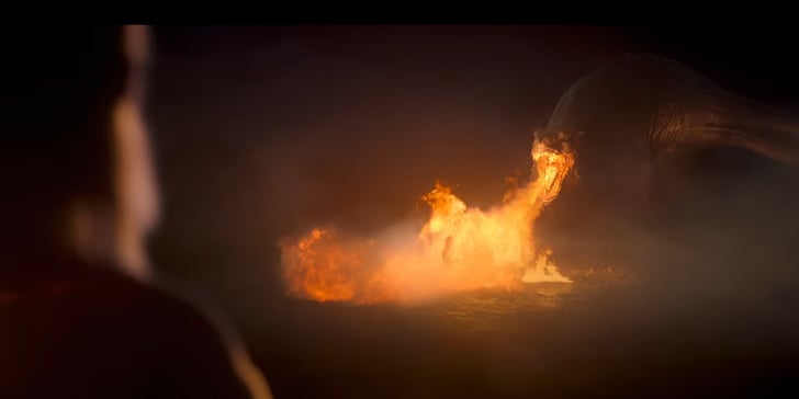 House of the Dragon: Vhagar, Explained | POPSUGAR Entertainment