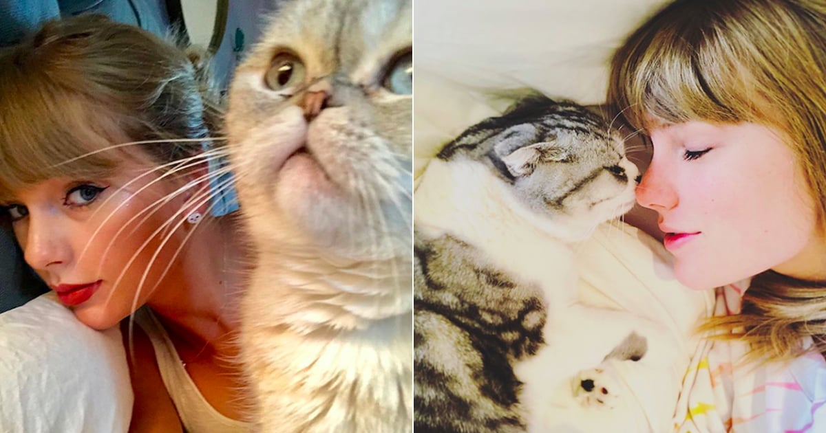 Pictures of Taylor Swift With Her Cats | PS UK Celebrity