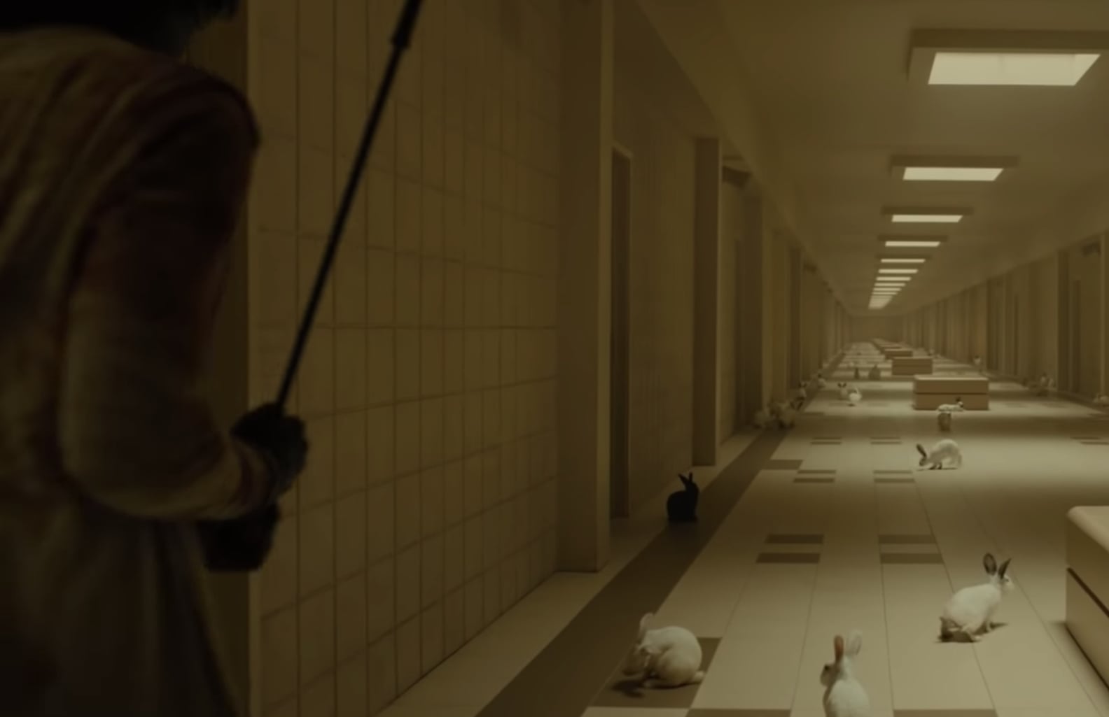 What Is the Meaning of the White Rabbits in Us Movie? | PS Entertainment