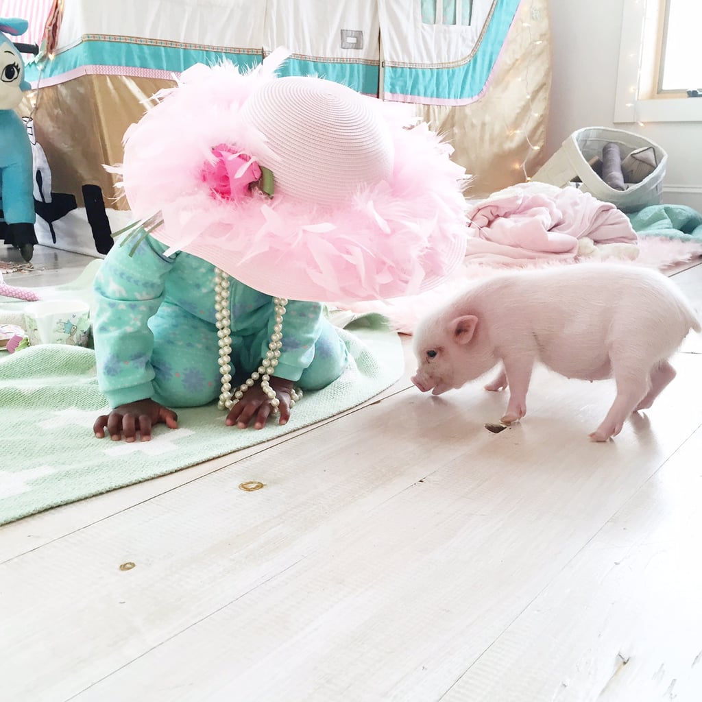 Adorable Pictures of a Toddler and Her Pet Pig | POPSUGAR Family