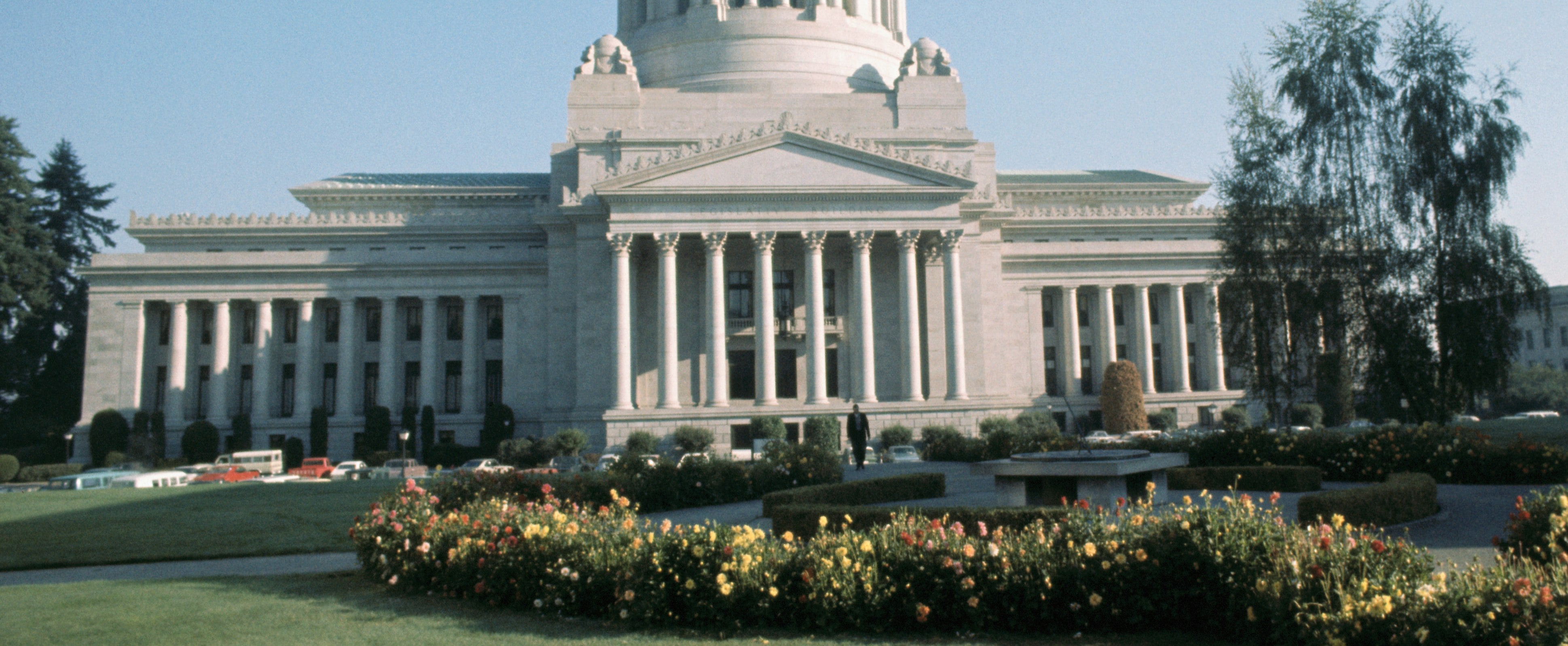 What Is Gender X? | PS News