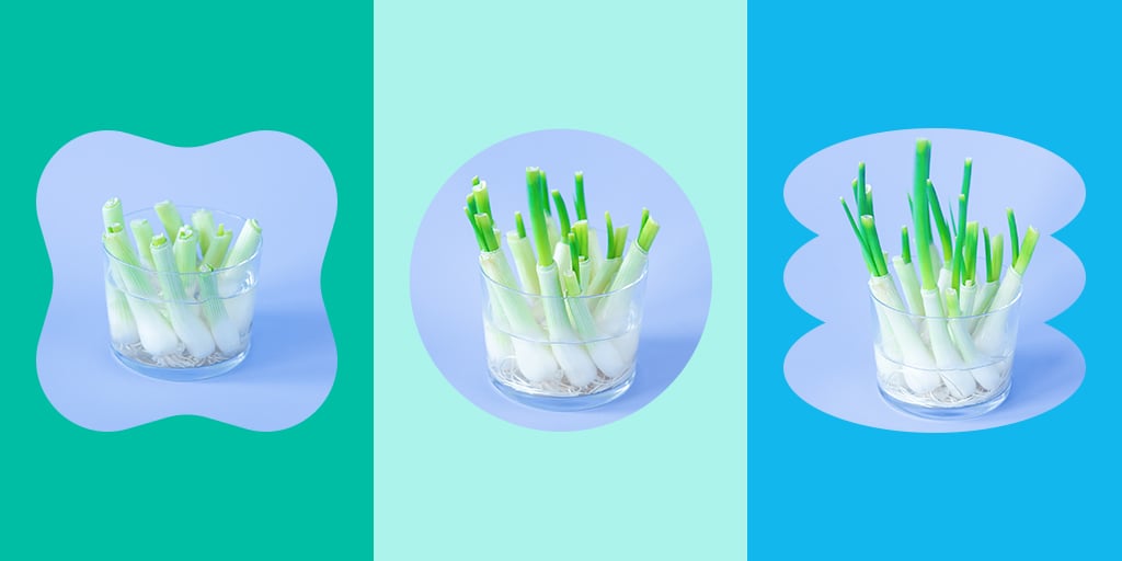 How to Regrow Green Onions in Water | PS Smart Living