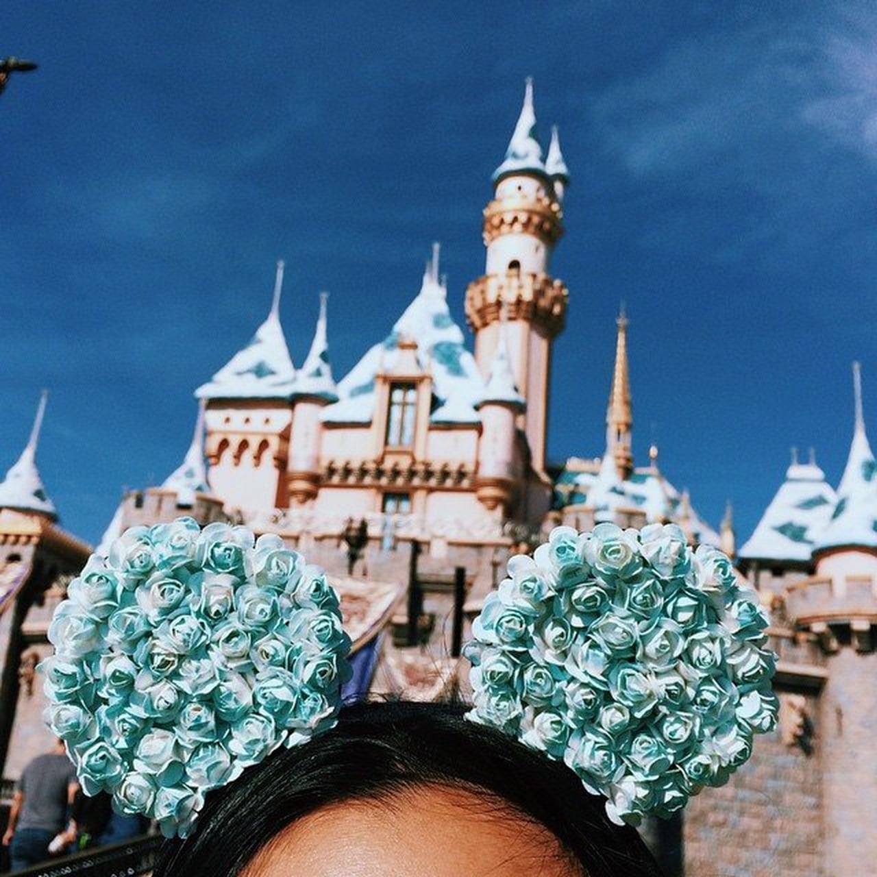Disney Park Rules | POPSUGAR Smart Living