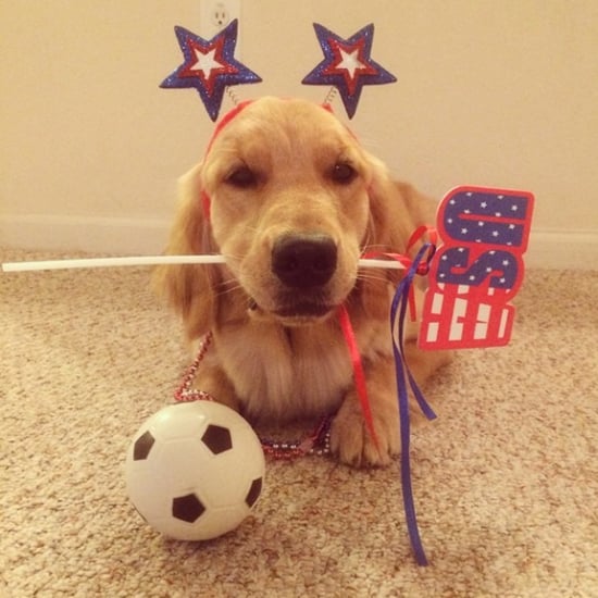Instagram Dogs Represent World Cup | POPSUGAR Pets