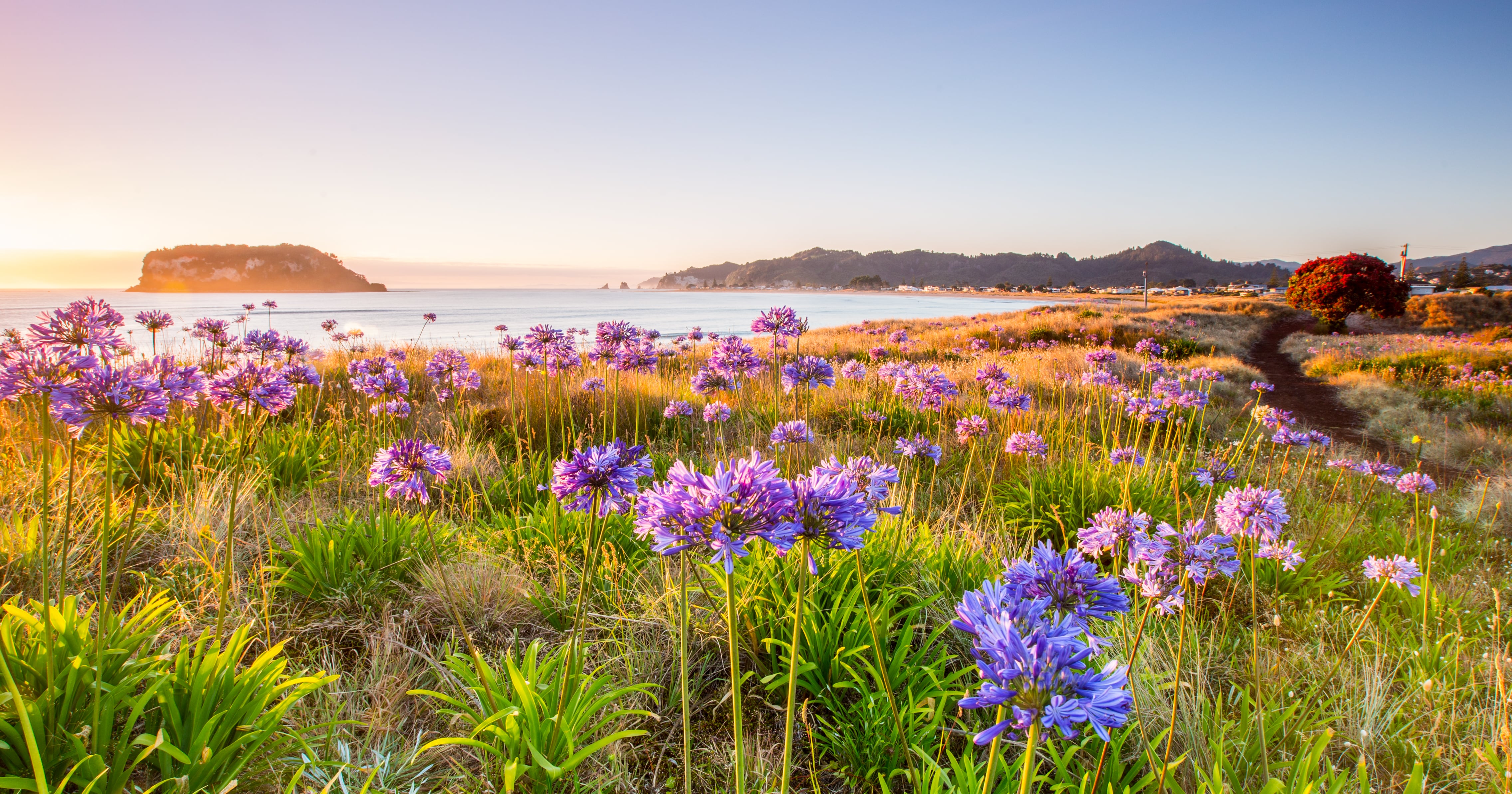 30+ Pretty Photos of Spring to Remind You That It's Coming! | PS Smart ...