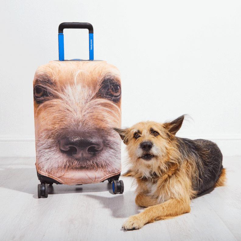 Personalized Dog and Cat Suitcase Covers | POPSUGAR Family