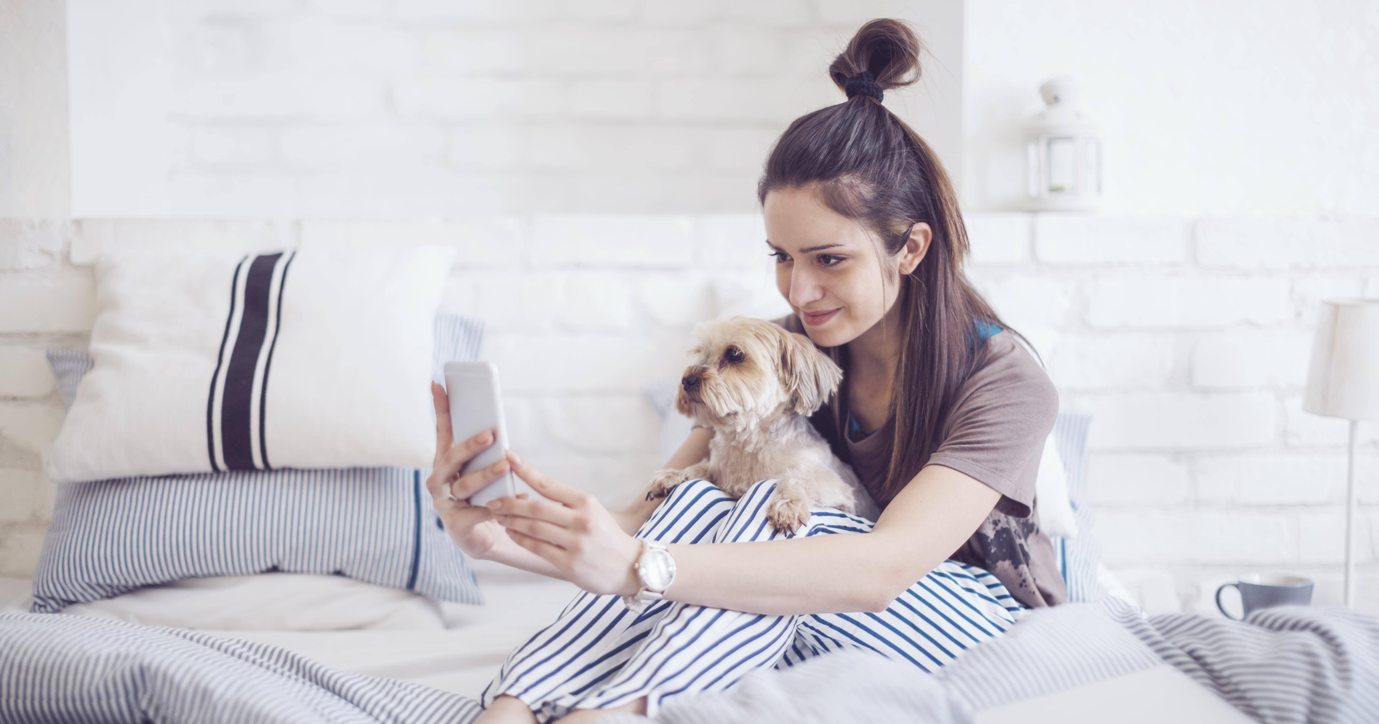 Do Dogs Understand Phone and Video Calls? | PS Pets