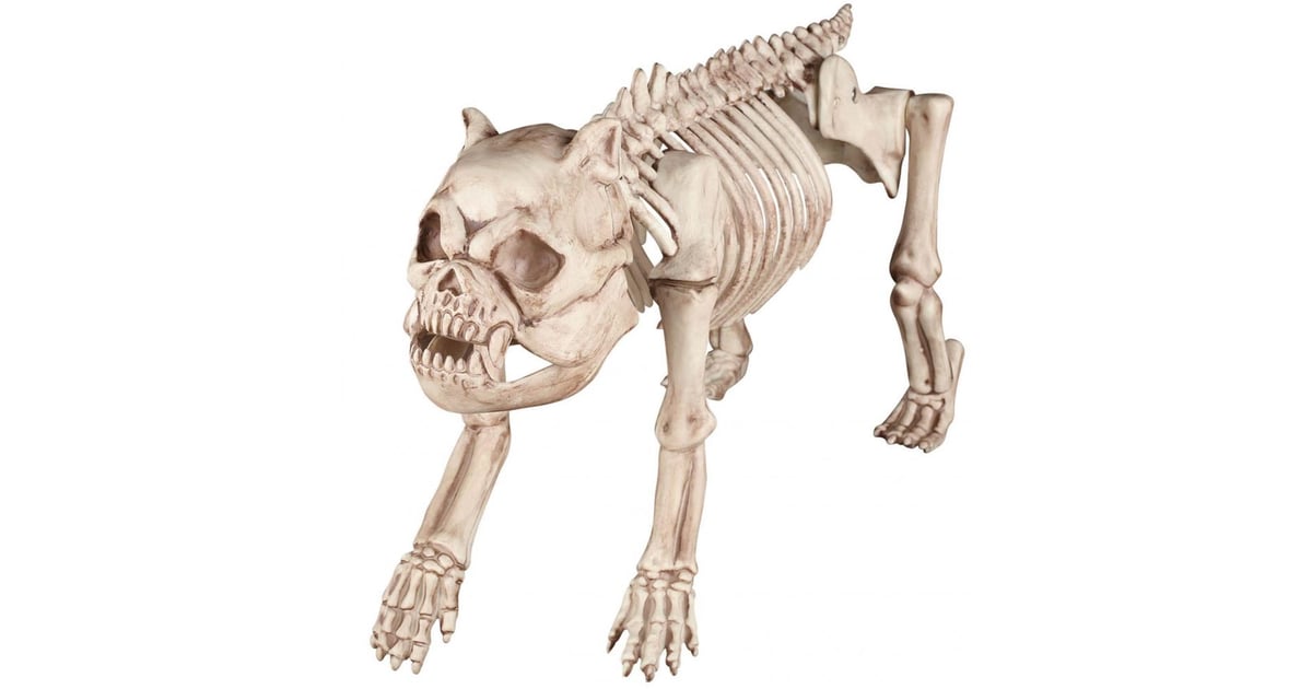 Bones the Bulldog Skeleton ($23, originally $40) | Gory Halloween ...