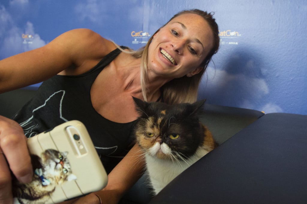 Cat Con LA 2016 Pictures | POPSUGAR Pets