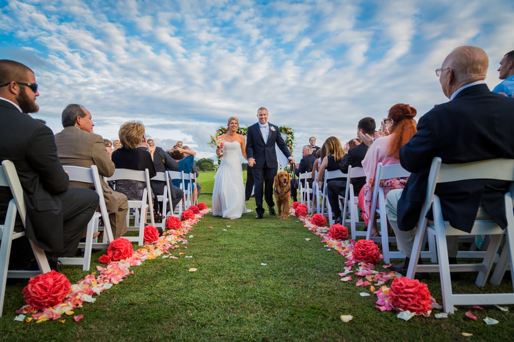 Dog Is Best Man at Wedding | POPSUGAR Pets