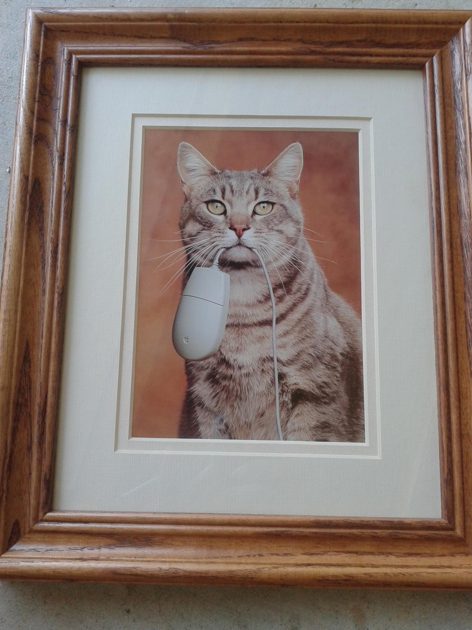 Funny Goodwill Finds | PS Tech