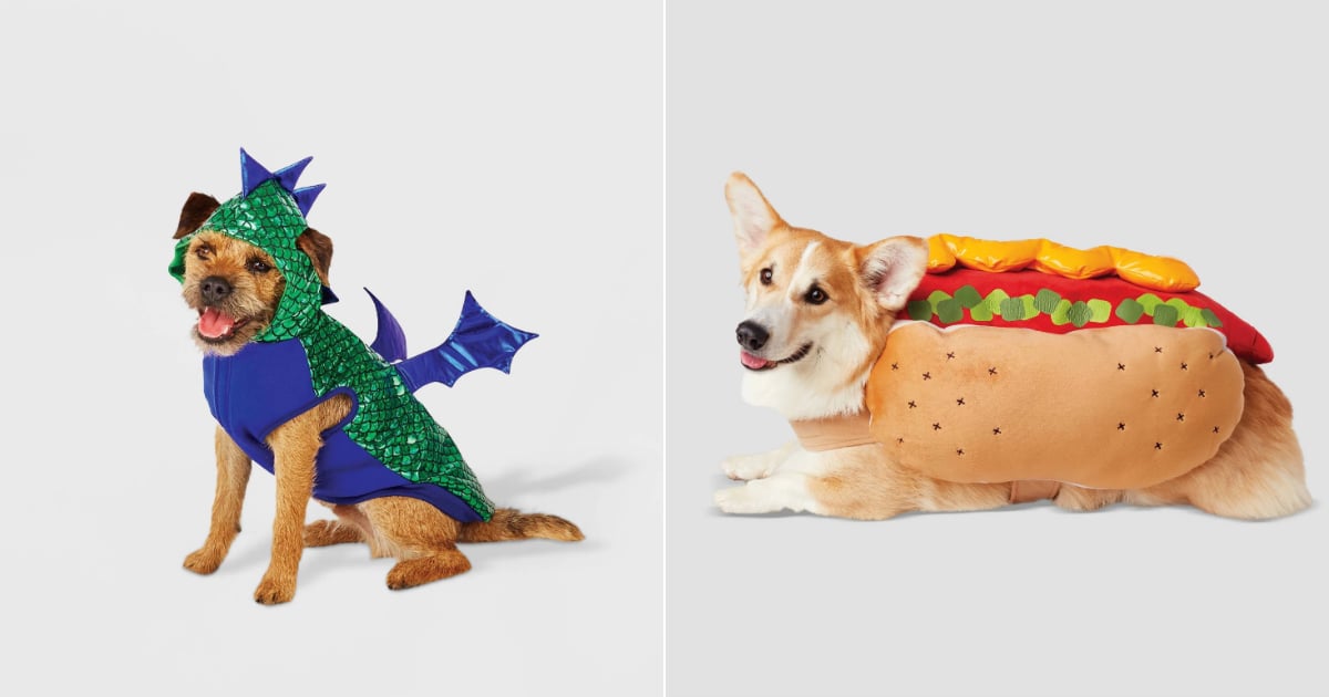 Best Dog Halloween Costumes at Target 2021 | POPSUGAR UK Pets