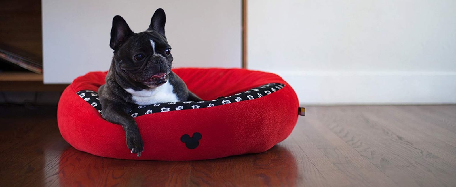 Best Disney Gifts For Pets 2019 | POPSUGAR Pets