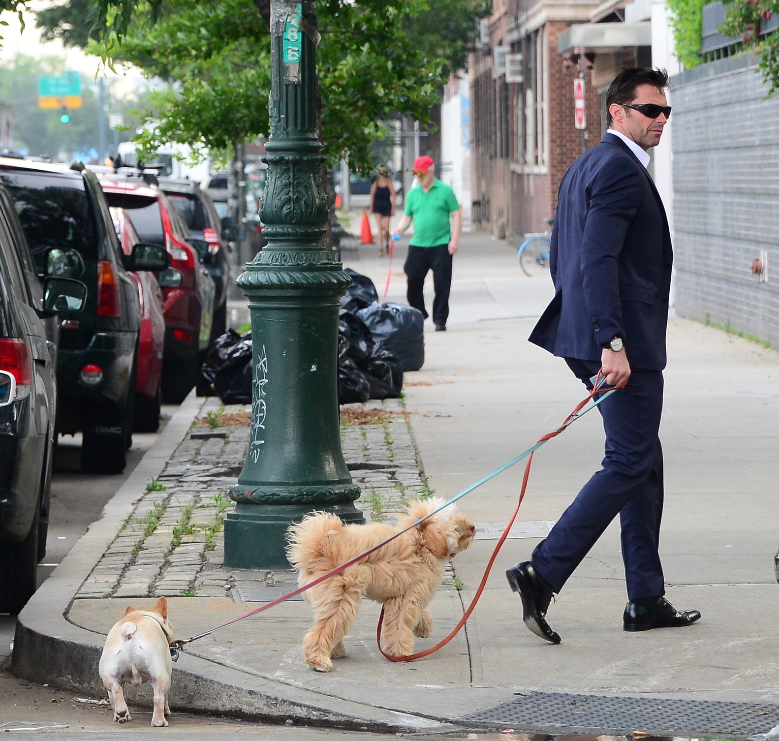 Hugh Jackman Walking His Dogs in a Suit in NYC | PS Celebrity