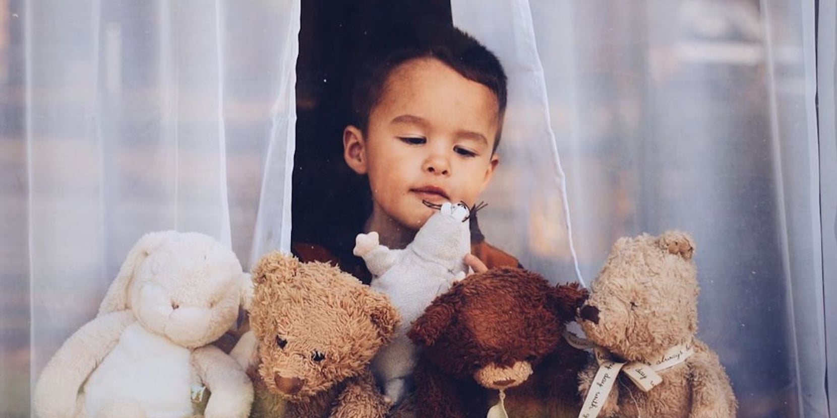 Everything You Need to Know About Teddy Bear Hunts | PS Family