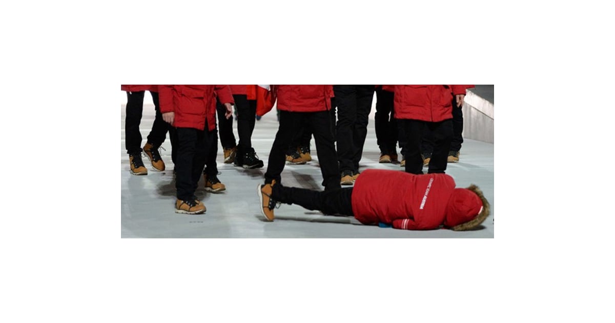 Austrian Athlete Falls at the 2014 Olympics Opening Ceremony | POPSUGAR ...