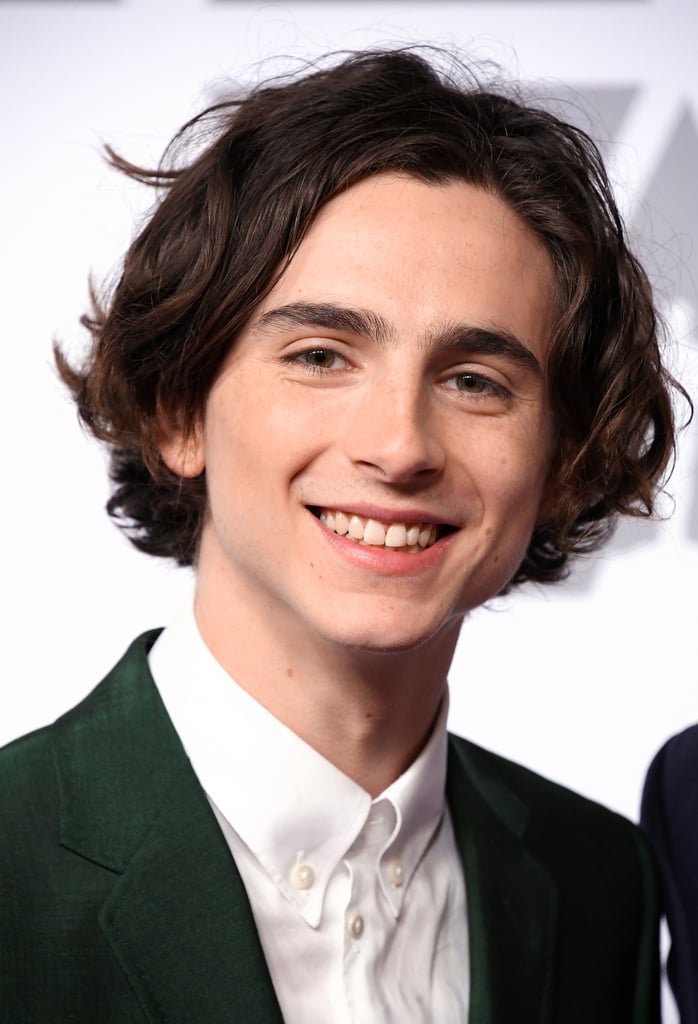 Hot Timothée Chalamet Pictures | POPSUGAR Celebrity UK Photo 5