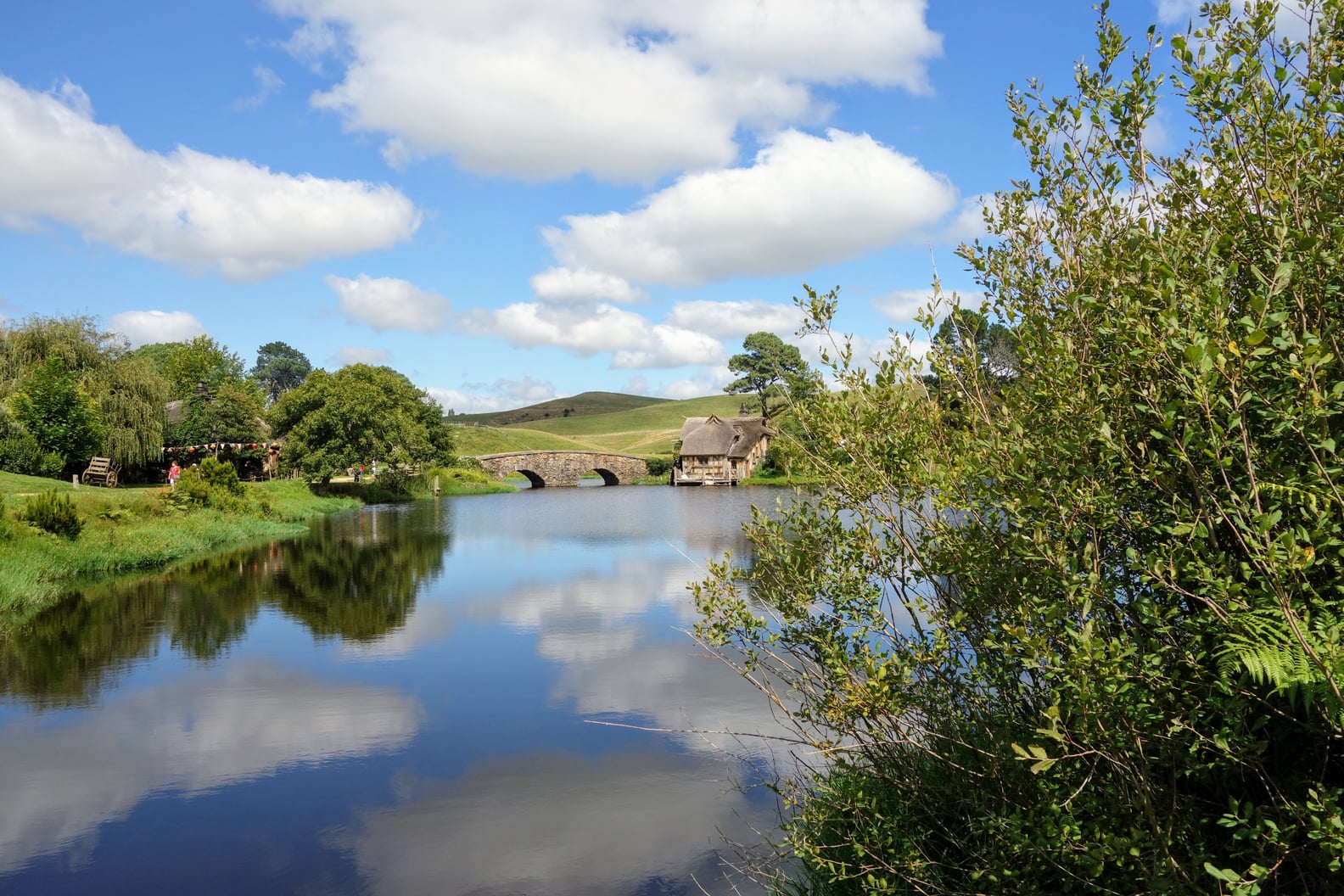 Hobbiton Movie Set Tour Review | PS Smart Living