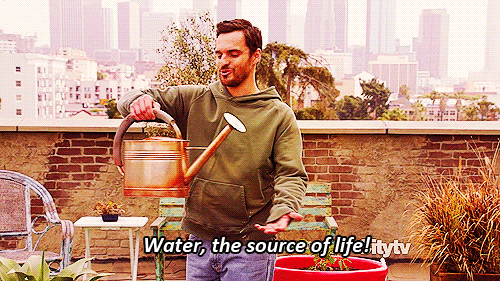 Jake Johnson on New Girl GIFs | PS Entertainment