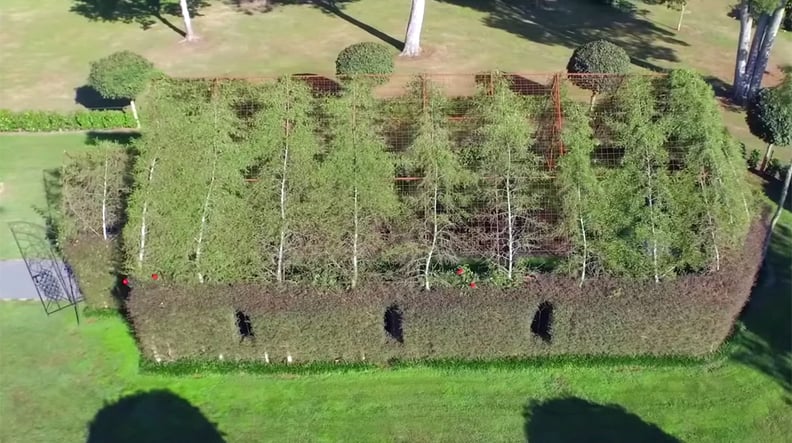 Church Built Out of Trees | PS Home