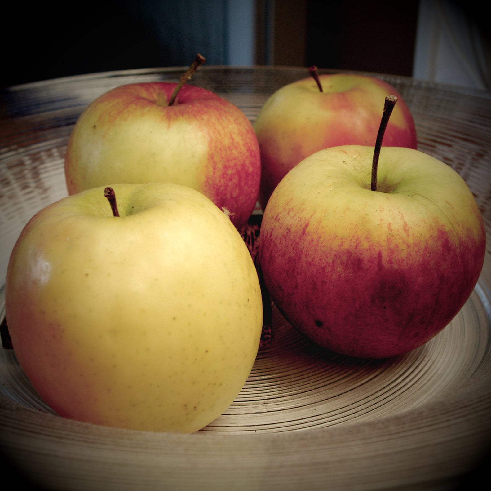 Fresh Food For Your Pet | PS Pets