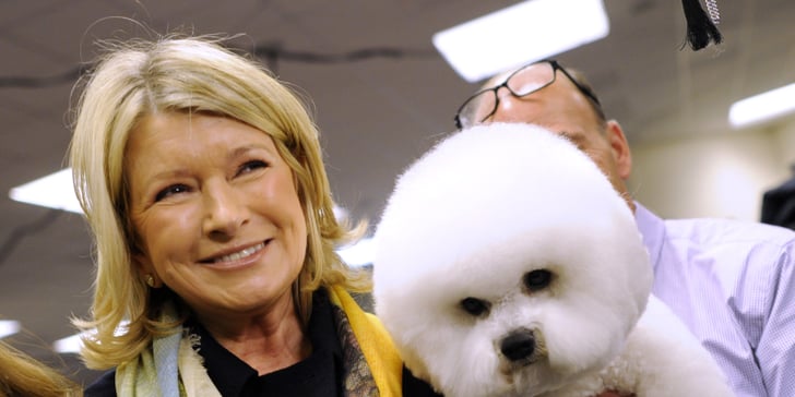 Martha Stewart Making CBD Pet Products | POPSUGAR Family