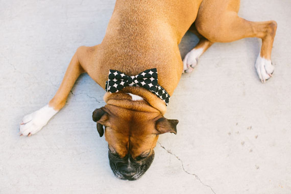 How to Match Your Groom | PS Fashion
