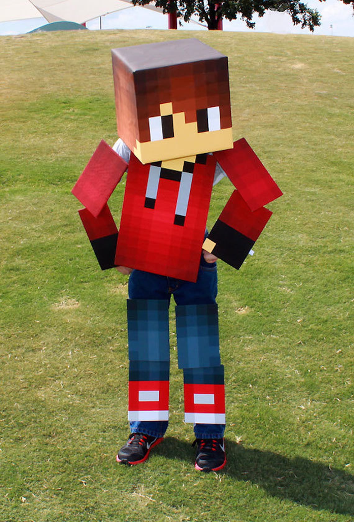 Minecraft Halloween Costumes For Sale at Mario Wall blog