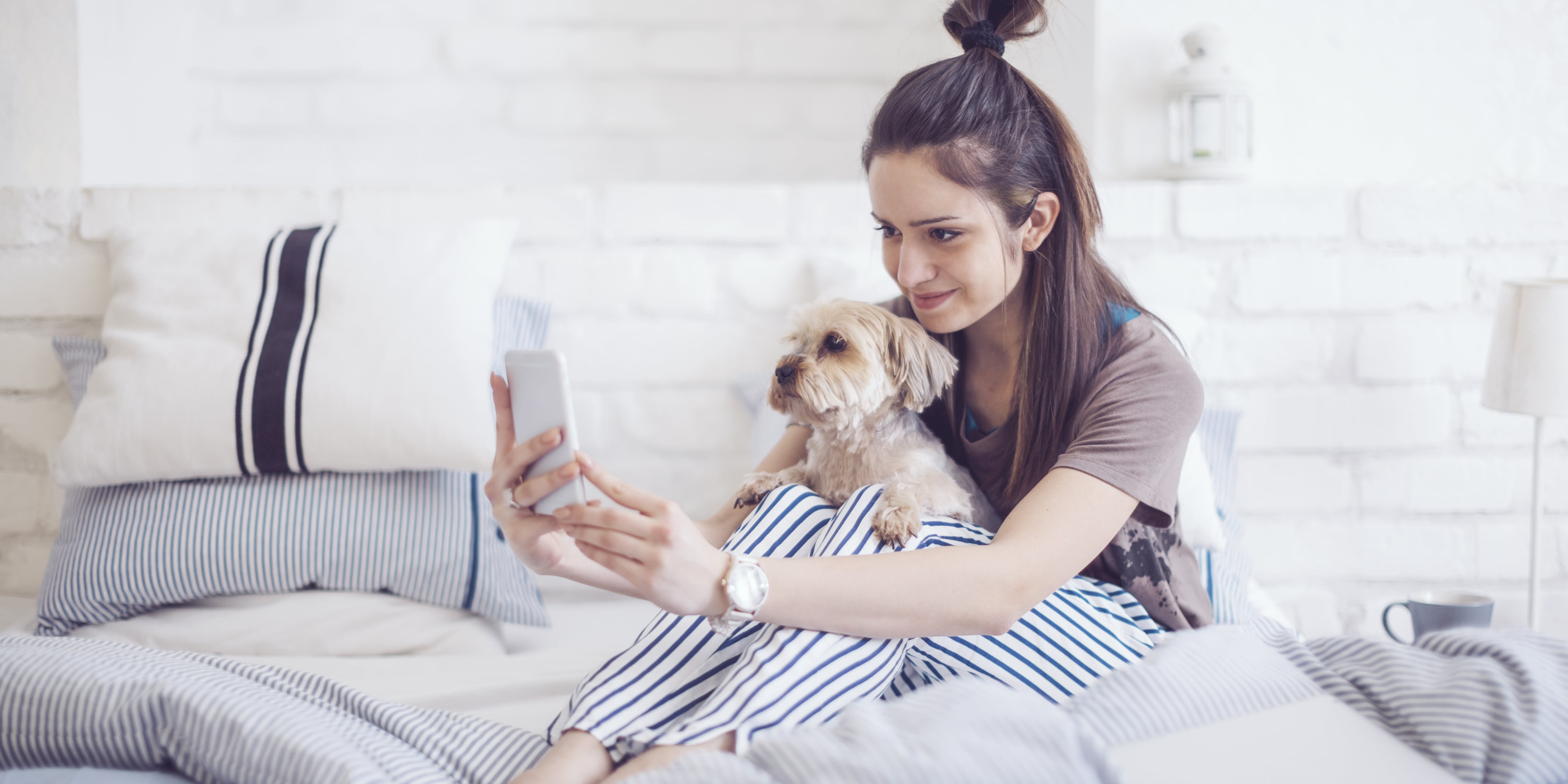 Do Dogs Understand Phone and Video Calls? | PS Pets