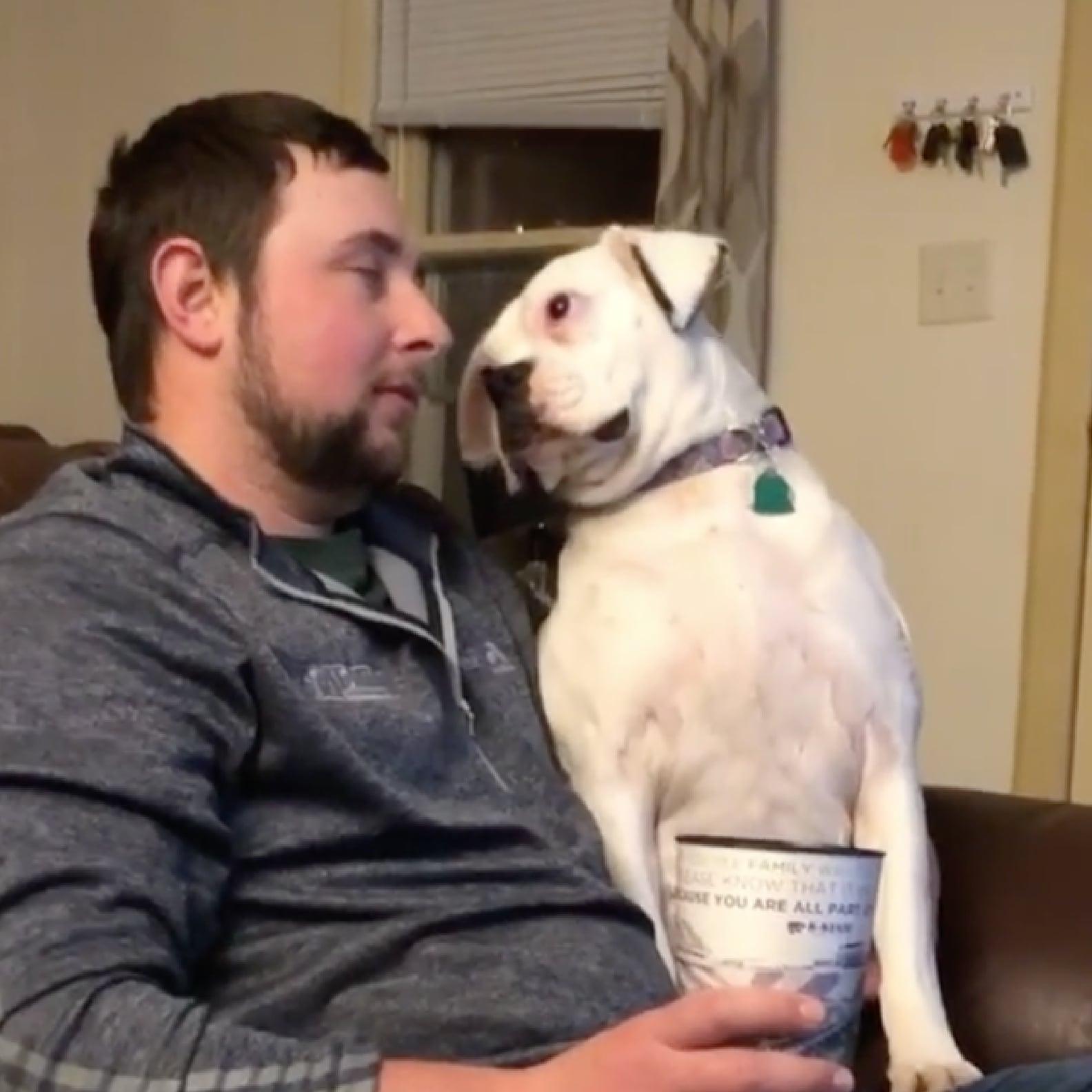 TikTok's Clingy Pet Challenge Funny Videos | PS Pets