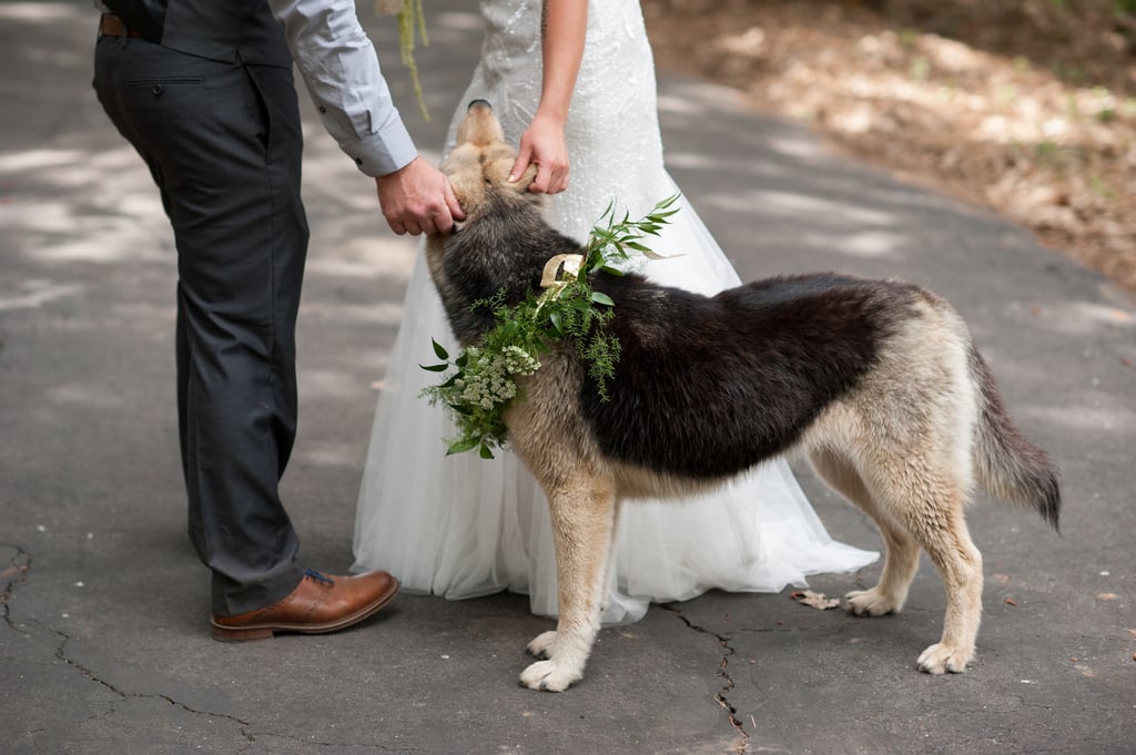 California Forest Wedding | POPSUGAR Love & Sex