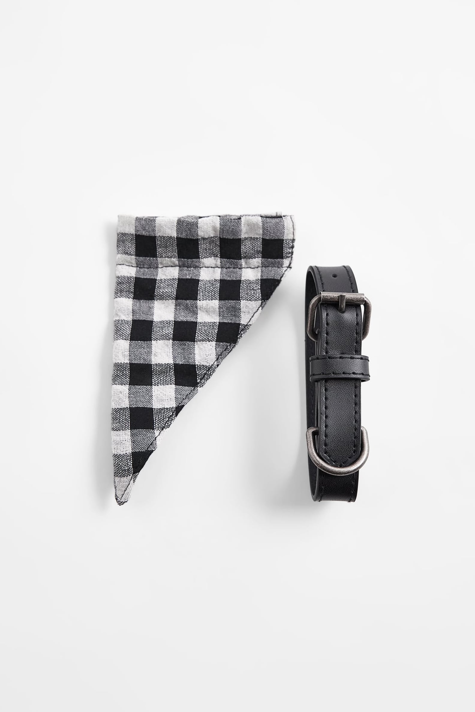 Zara Pet Collection | PS Pets