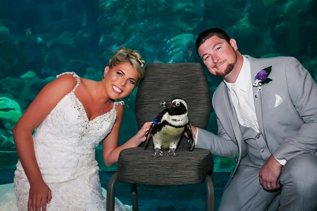 Aquarium Wedding Popsugar Love And Sex Photo 48
