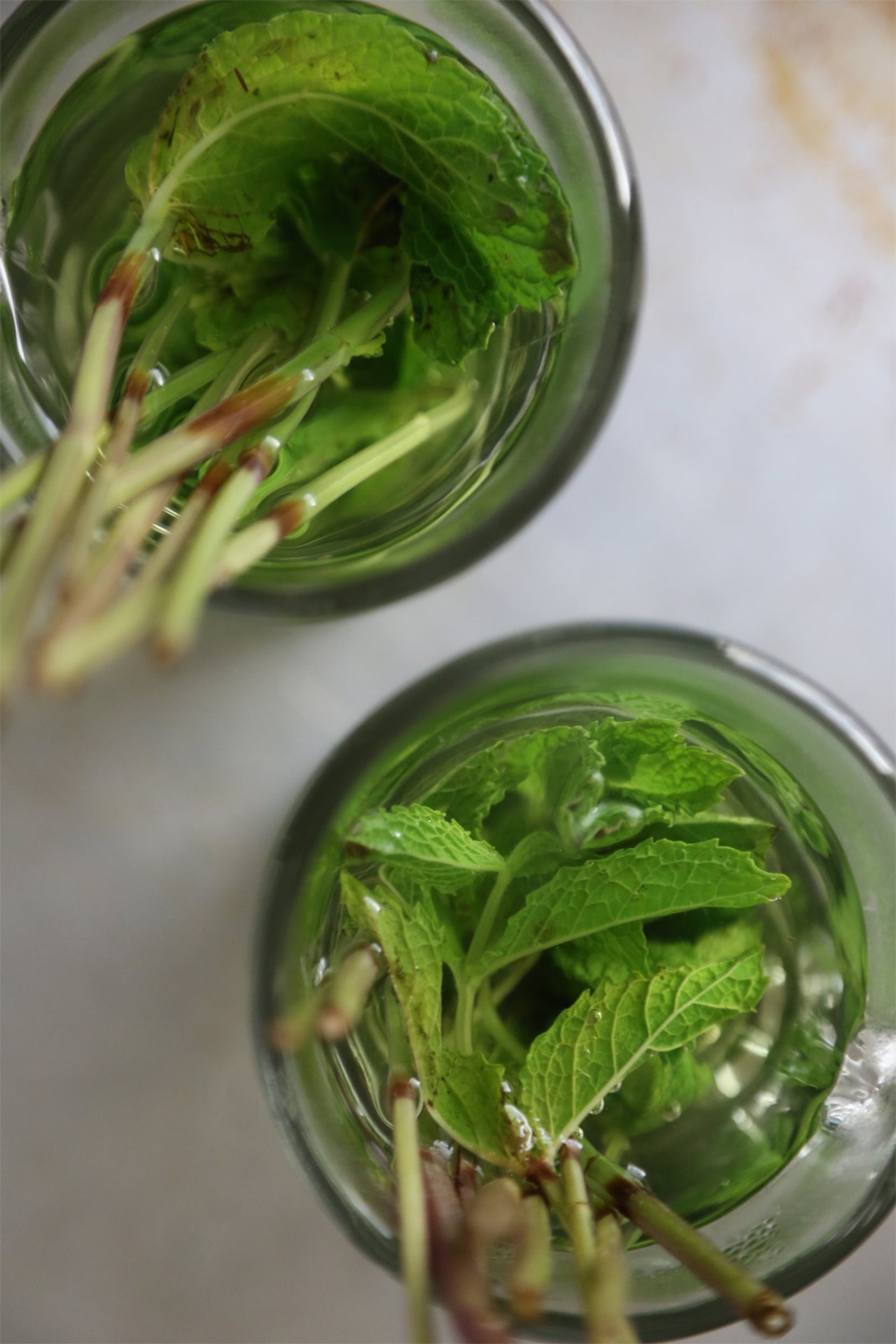 Mint Tea Recipe | PS Food