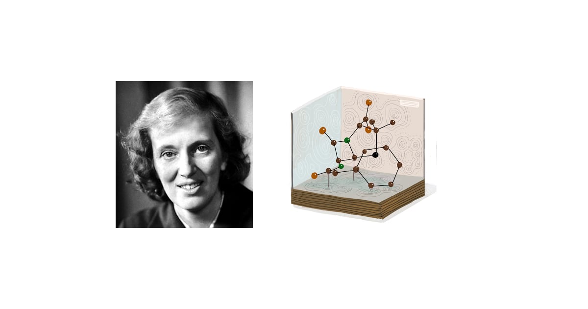 Dorothy Hodgkin Biography | POPSUGAR Tech