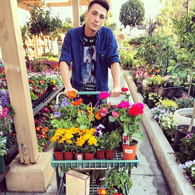 Colton Haynes's Funny Instagram Pictures | POPSUGAR Celebrity