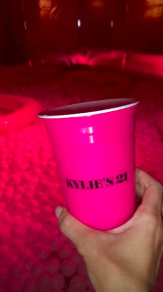 Kylie Jenner's 21st Birthday Photos | PS Celebrity